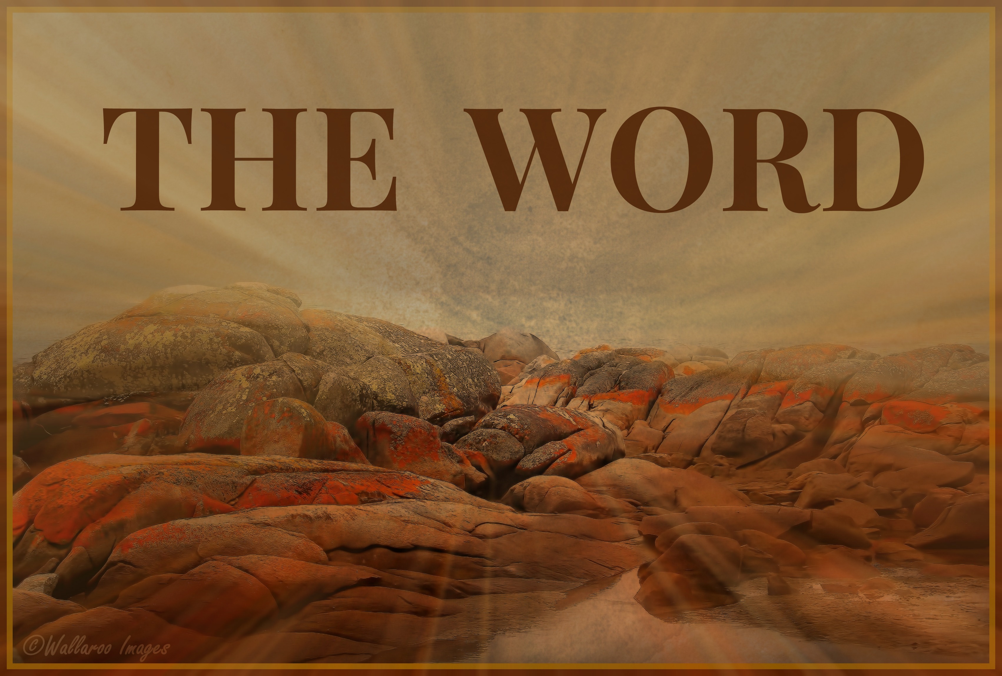 The Word | Bread for the Bride